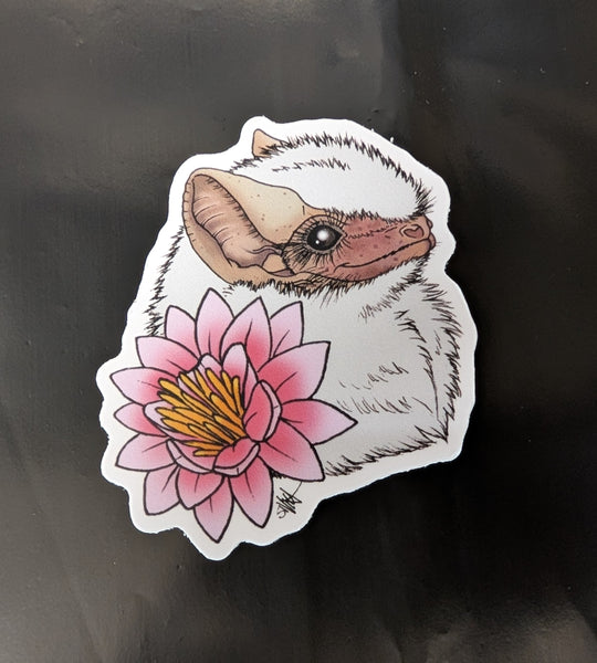 Northern Ghost Bat Vinyl Sticker – Bat World Store