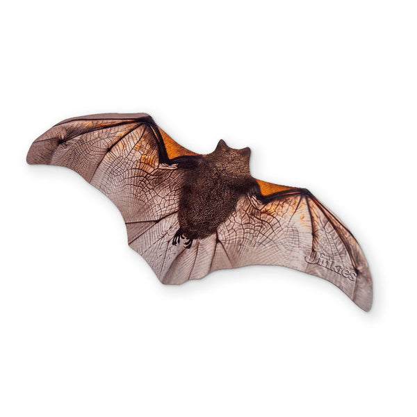Bat Cleaning Cloth – Bat World Store