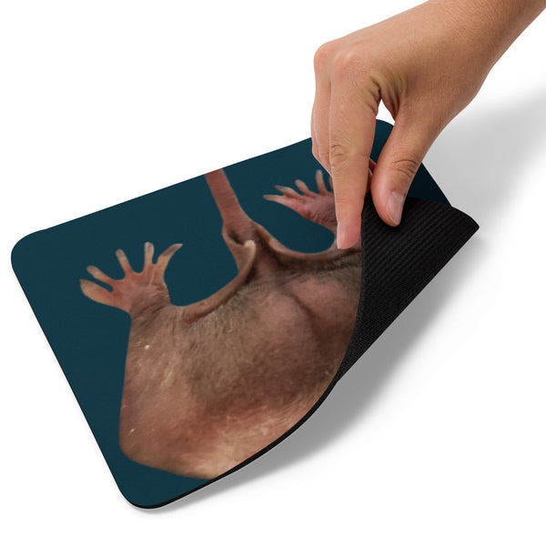 Harold's Butt Mouse Pad – Bat World Store