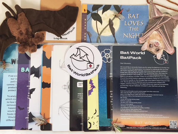 Bat World BatPack – Bat World Store