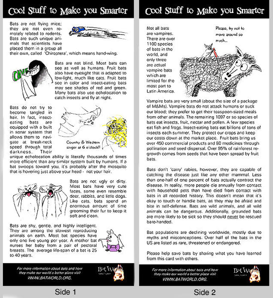 Cool Stuff Cards – Bat World Store